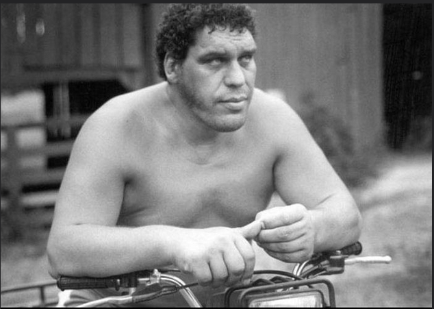 Andre the Giant: pictures & facts! - The Vintage News