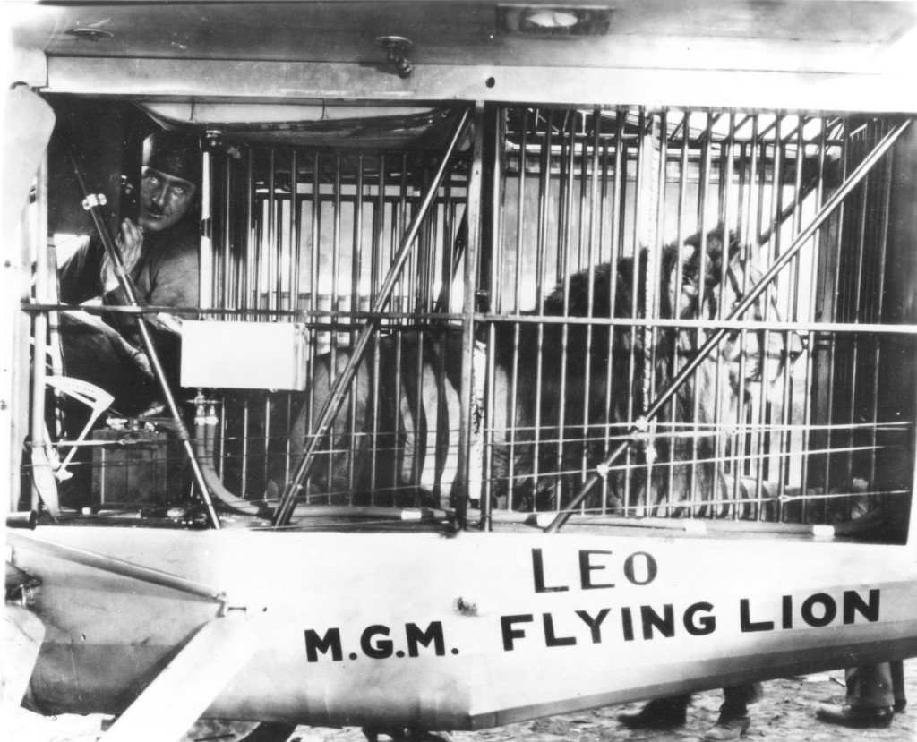 The Facts and Fictions: Did MGM "Leo" The Lion Really Killed its ...