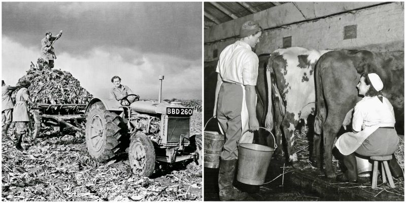 The women who took care of farming during WWII-Interesting photos show the lives of the Womens ...