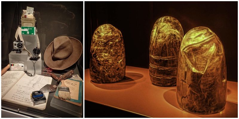 The first & only official exhibition of Indiana Jones ...