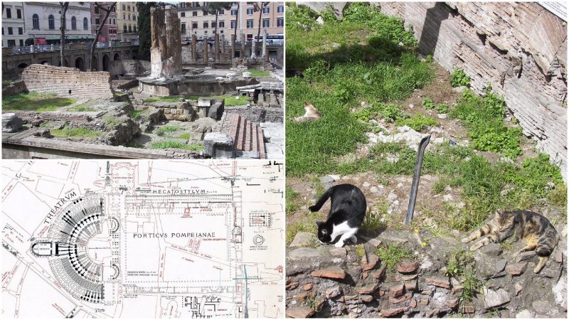 Ancient temple in Rome where Julius Caesar was killed is now a stray ...
