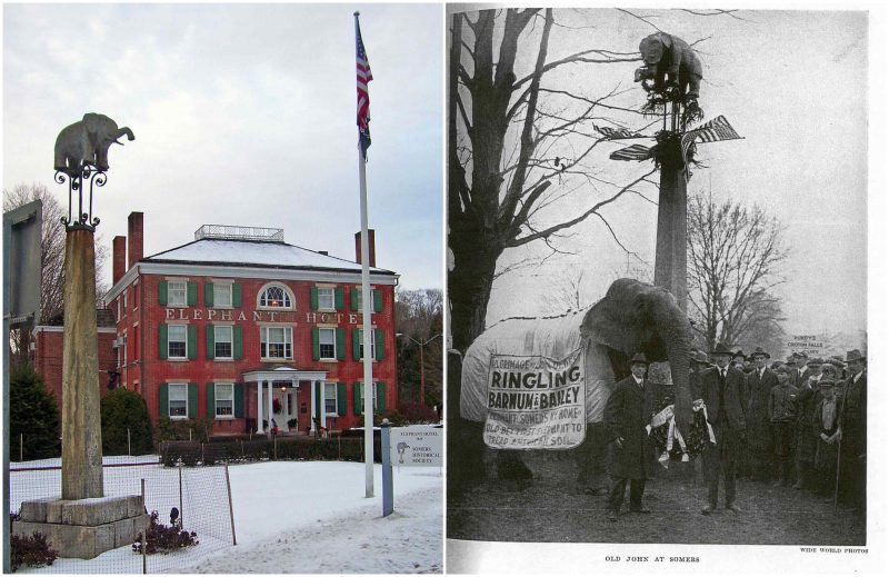 Old Bet: The first circus elephant brought to the US was killed by a ...