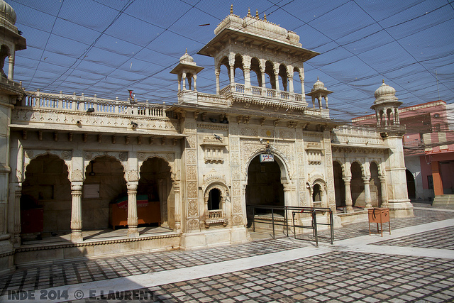 Karni Mata or "Temple of Rats" is a temple in India crawling with ...