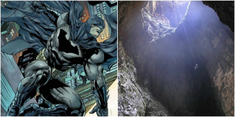 Huge bat lived in New Zealand’s ancient rain forest around 16 million ...