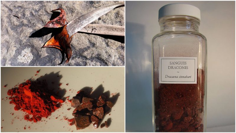 Dragon's Blood is a real ingredient and has been used since ancient ...