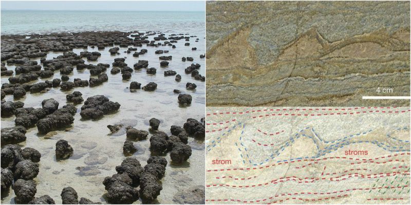 3.7 billion year old fossil discovered on Greenland: The oldest fossil ...