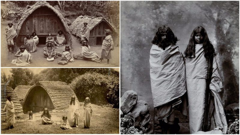 The Toda People: A small pastoral tribe with a fascinating tradition ...