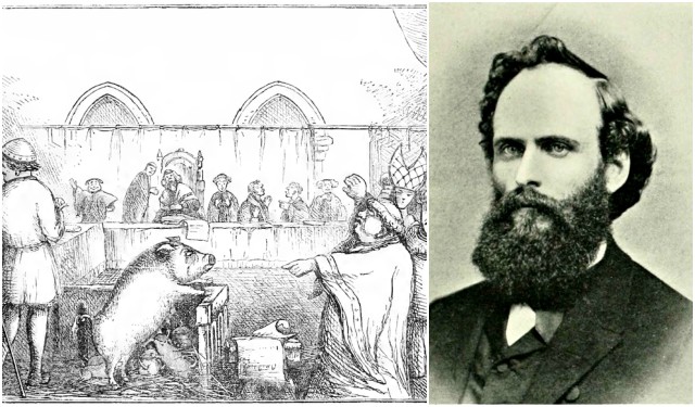 Medieval animal trials in Europe - A pig sentenced to death by hanging ...