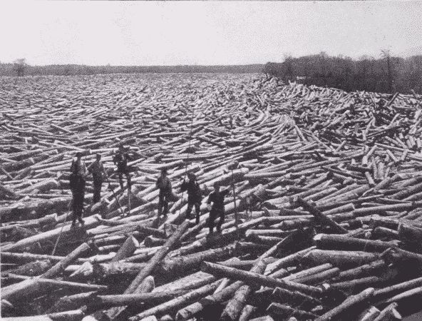 The mighty log rafts of the old new world – tough work – tough men ...