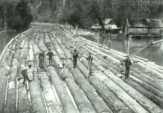 The mighty log rafts of the old new world – tough work – tough men ...