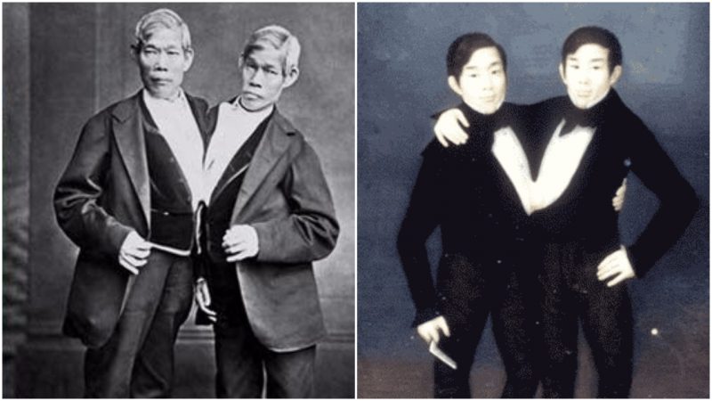 The world's most famous conjoined twins, the ones who gave us the term "Siamese twins"