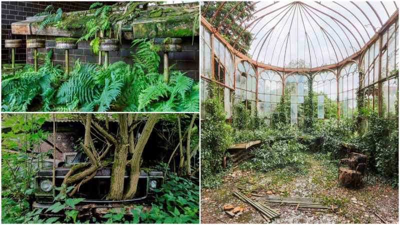 French photographer captures dilapidated places reclaimed by nature