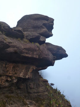 Mount Roraima is one of the oldest formations on Earth dating back to ...