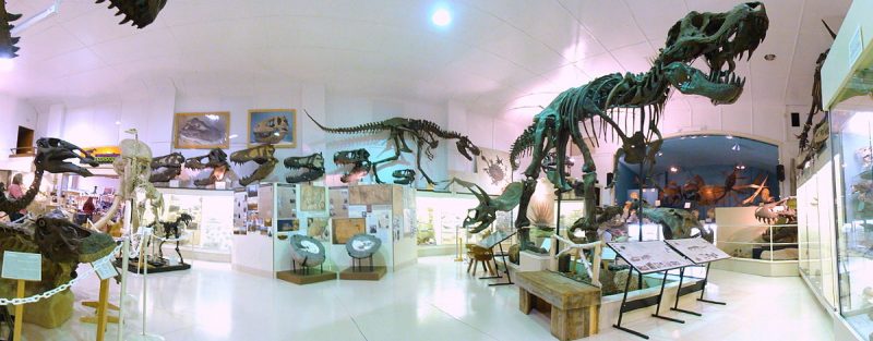 Sue is the largest, best preserved and most complete T-Rex fossil ever ...