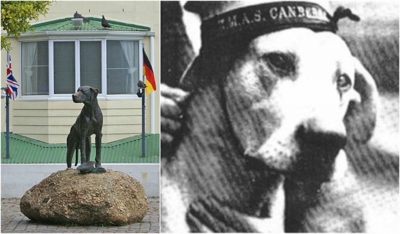Able Seaman Just Nuisance: The only officially enlisted dog in the ...