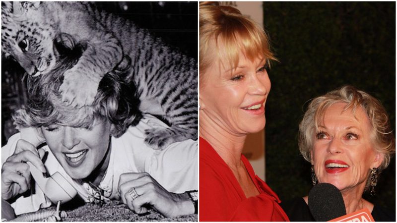 "Roar" has been considered the most dangerous film shoot in history ...