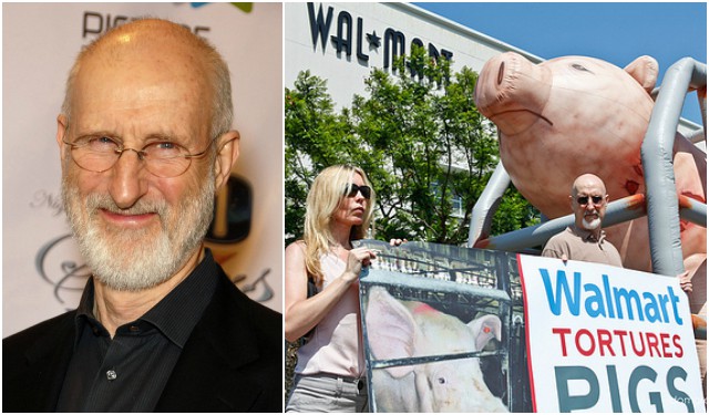 James Cromwell, the actor who played Farmer Hoggett in "Babe," became a ...