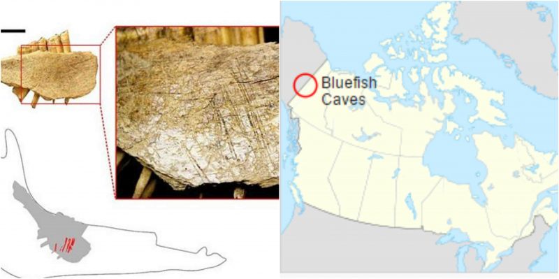 Ice Age had a large impact on many areas suitable for migration of ...