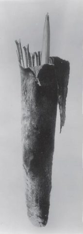 In 1911 Ishi emerged from the wilderness in California, he was the last ...