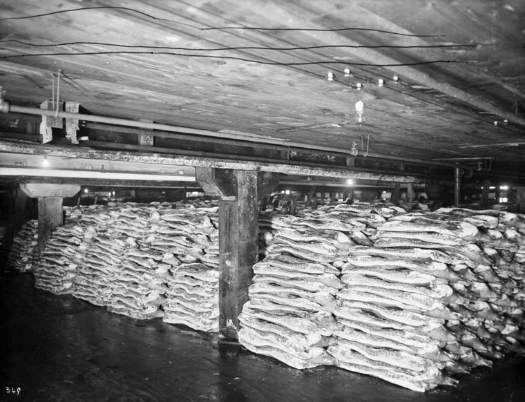 Flitch of Bacon - an old British custom of rewarding a big piece of ...