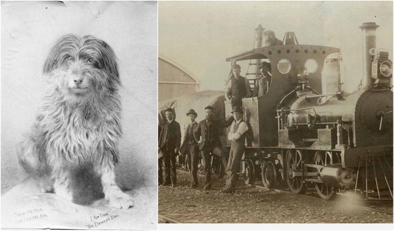 A real story from the South Australian Railways folklore- Bob the ...