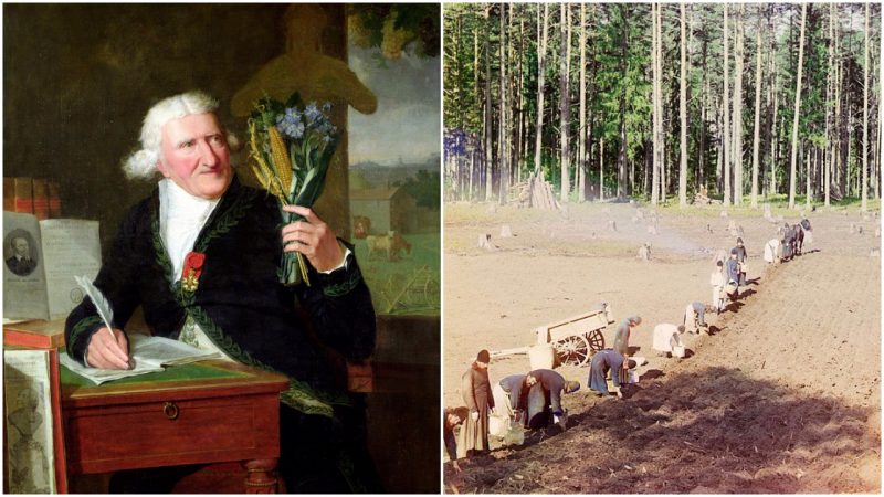 In 16th-century Europe, potatoes were cultivated in courts ...