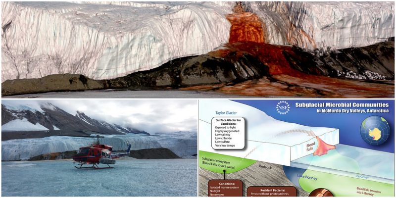 The 106-year-old mystery of Antarctica's Blood Falls finally unveiled ...