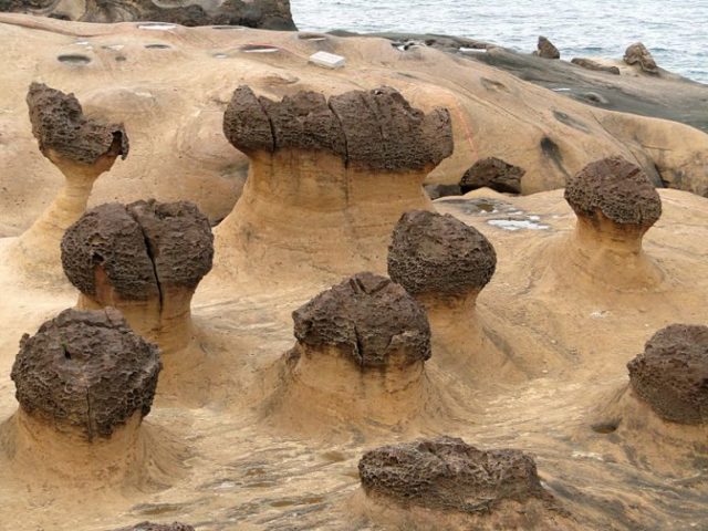 Interesting collection of naturally formed mushroom rocks from all over ...
