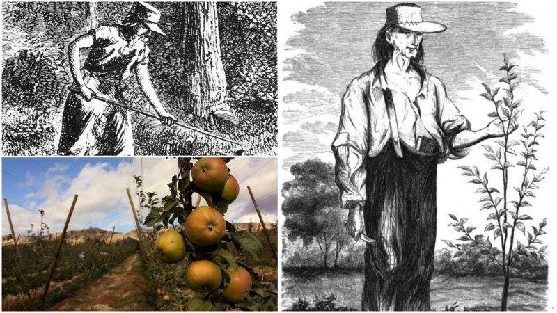 Johnny Appleseed: His trees invigorated the early frontier but his life ...