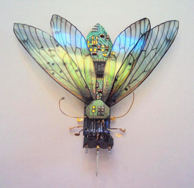 Artist creates brilliant insect sculptures from old computer components ...