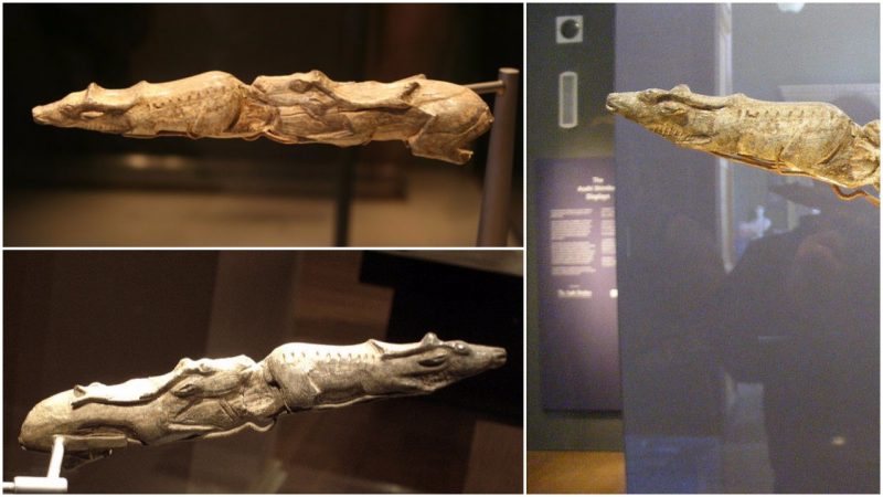 The Swimming Reindeer sculpture of 13,000 years ago shows imagination ...