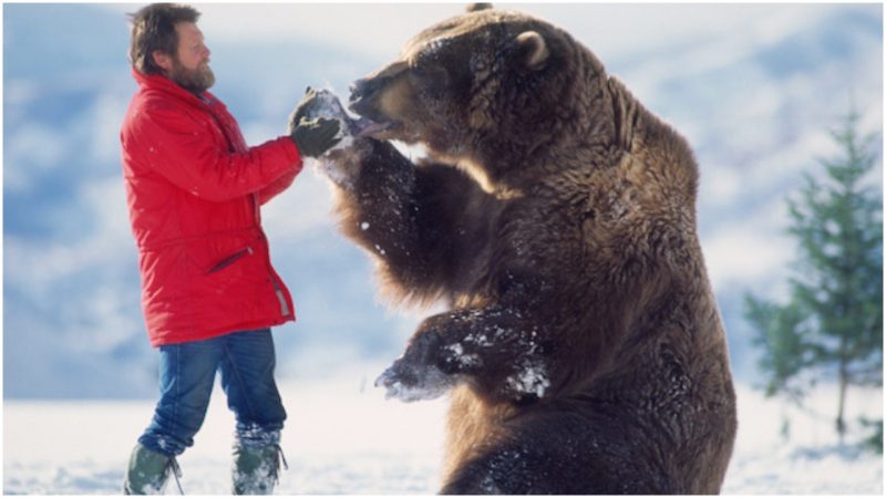 Bart the Bear, who appeared in several Oscar-winning films, was "the ...