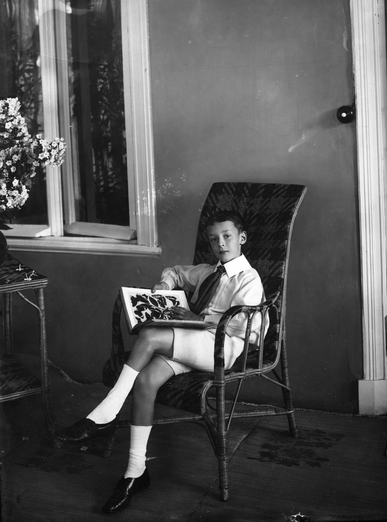 For three months in 1964, Vladimir Nabokov wrote down his dreams every ...