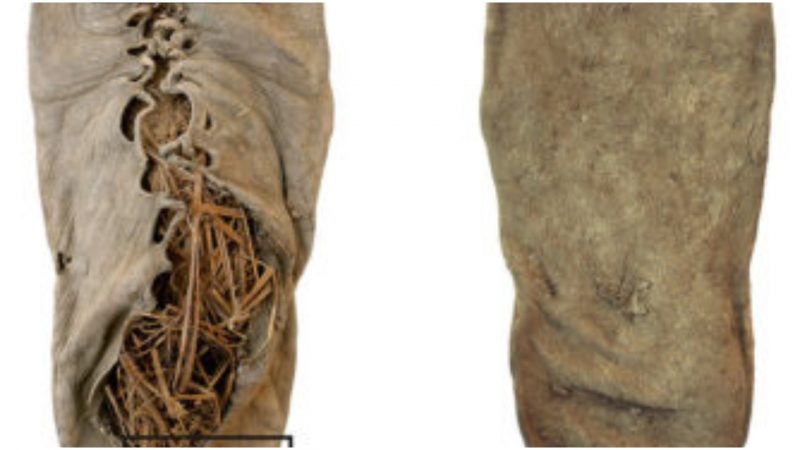 The Areni-1 shoe: An Armenian cave yielded the oldest leather footwear ...