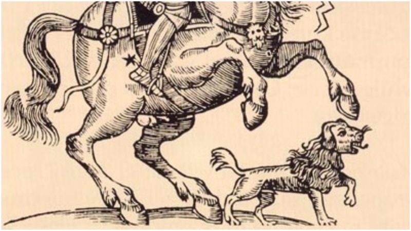 Boy, the "magical" dog of prince Rupert of the Rhine, listed as the the ...