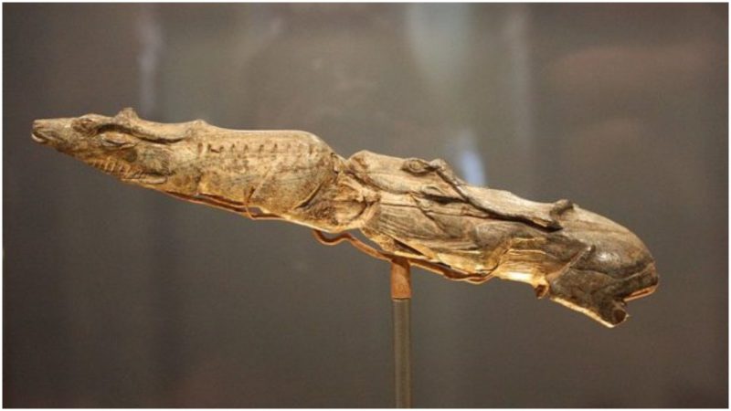 The Swimming Reindeer sculpture of 13,000 years ago shows imagination ...