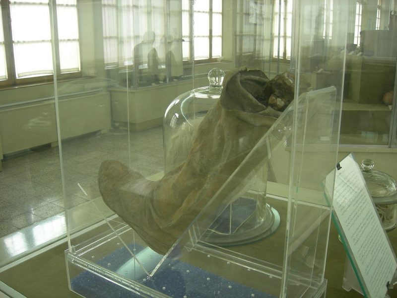 The Iranian Saltmen: perfectly preserved natural mummies tell a story ...