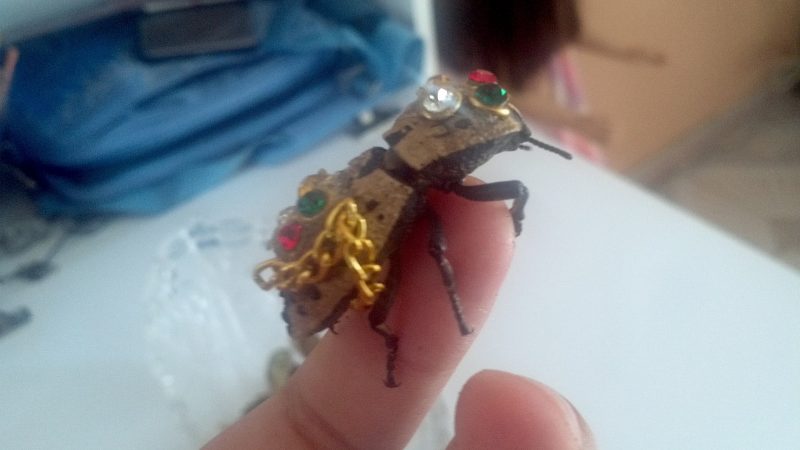 The strange trendy Victorians used to accessorize with live insect ...