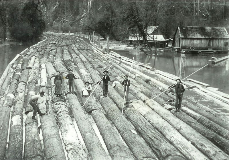 Photos: The Golden Age of Lumberjacks and Giant Redwoods they Battled