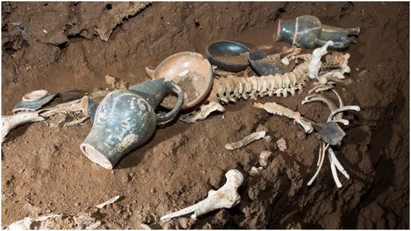 Untouched Roman tomb uncovered by bulldozer - The Vintage News