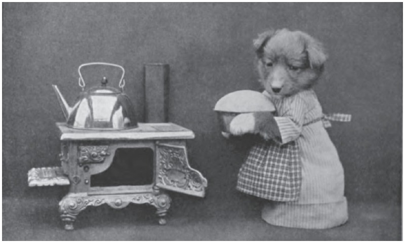 The Remarkable Turnspit Dog, a Breed Specially Designed to Help in the ...