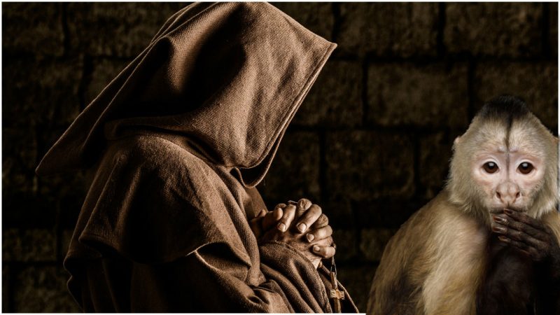 Monks, Monkeys, and Cappuccino – They Have More in Common than You Know ...