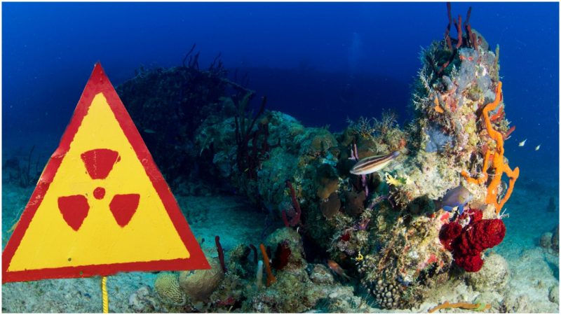 Explosive Accidents: The Lost Nuclear Arsenal at the Bottom of the Sea ...