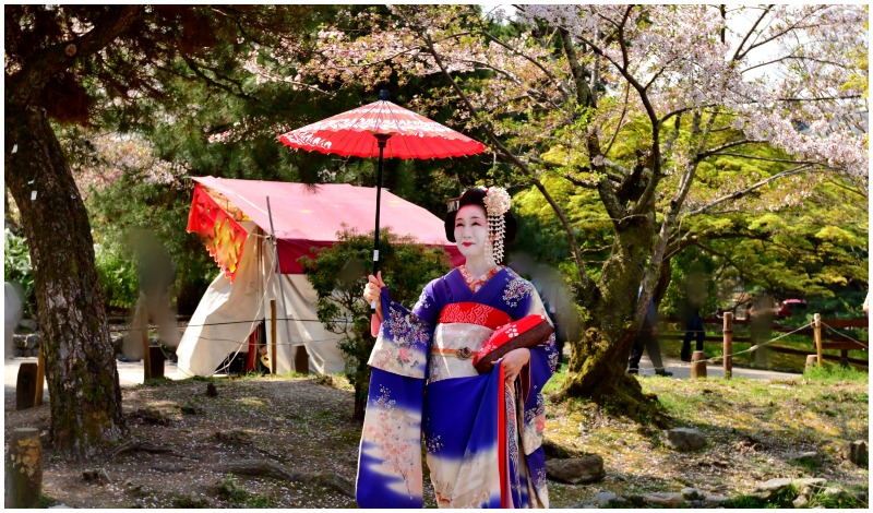 Richard Farrell, Author at The Vintage News