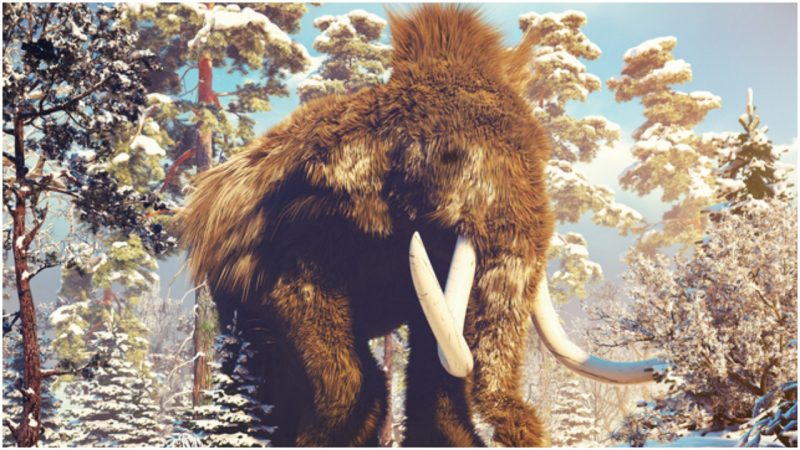 World's Only Woolly Mammoth Fur Hat Up For Sale