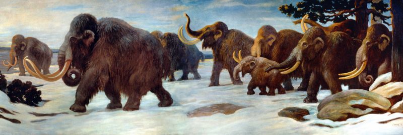 New Evidence Proves that Humans did Indeed Hunt Mammoths