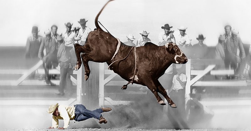Wild West Bonanza! How Cowboy Competitions Turned Into the Modern Rodeo
