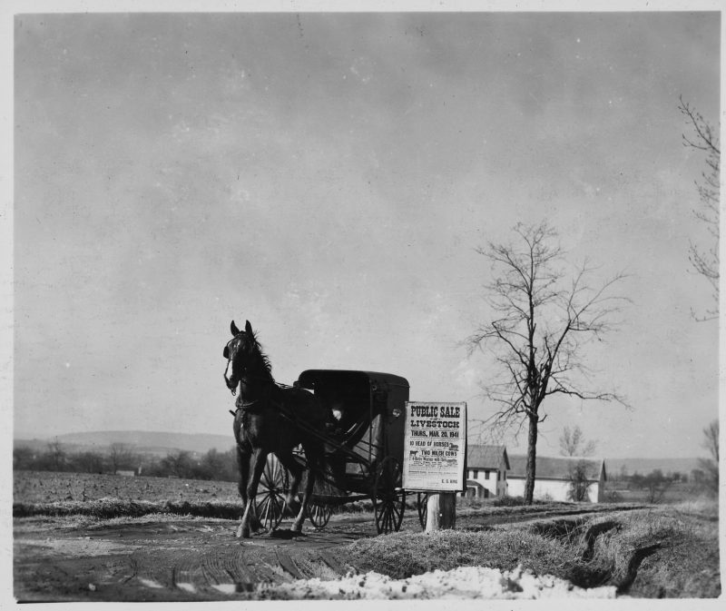 Rare Early Photographs of the Amish Way of Life