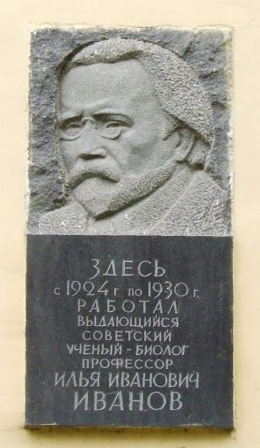 The Red Frankenstein. | Eupedia Forum