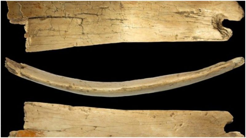 50,000-yr-old Ivory Tiara from a Woolly Mammoth Found in Siberian Cave ...